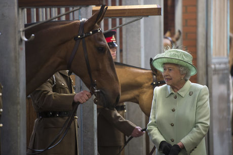 queen elizabeth ii animals Stock Photos (Exclusive) | Shutterstock
