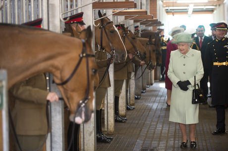 queen elizabeth ii animals Stock Photos (Exclusive) | Shutterstock