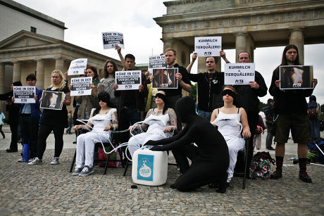 Peta Activists Editorial Stock Photo - Stock Image | Shutterstock