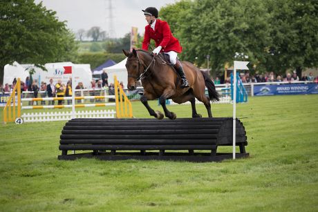 Ridden Hunter Championship Editorial Stock Photo - Stock Image ...