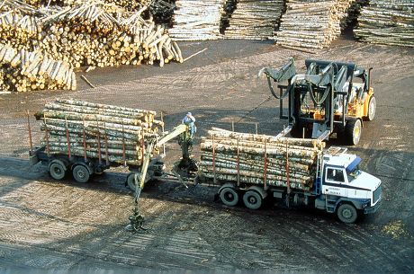 Loading Lorries Wood Take Mills Editorial Stock Photo - Stock Image ...