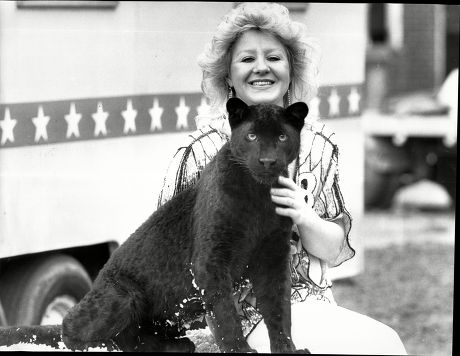Susan Lacey Her Back Panther Gerry Editorial Stock Photo - Stock Image ...
