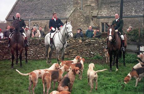 11 British fox prince charles hunting on remembrance day britain 11 nov ...