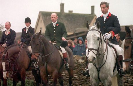 11 British fox prince charles hunting on remembrance day britain 11 nov ...