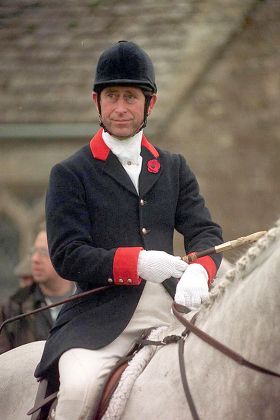11 British fox prince charles hunting on remembrance day britain 11 nov ...