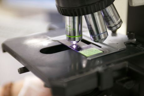 Slide Under Microscope Editorial Stock Photo - Stock Image | Shutterstock