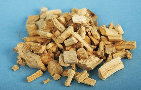 Althea Root Editorial Stock Photo - Stock Image | Shutterstock