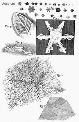 11 Micrographia Stock Pictures, Editorial Images and Stock Photos ...