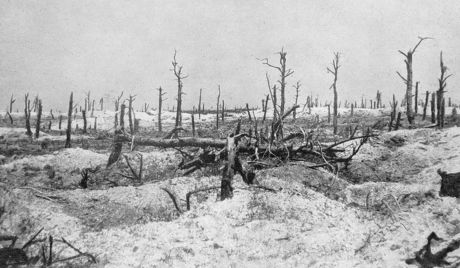 87 World war i. trees Stock Pictures, Editorial Images and Stock Photos ...
