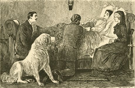 34 Scarlet fever Stock Pictures, Editorial Images and Stock Photos ...