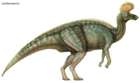 4 Lambeosaurus Stock Pictures, Editorial Images and Stock Photos ...