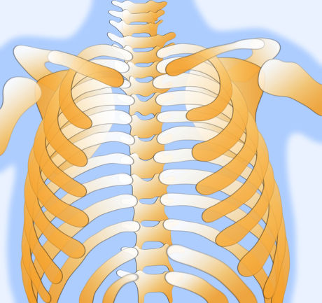 17 Bony chest Stock Pictures, Editorial Images and Stock Photos ...