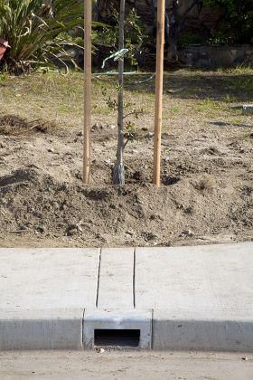 Stormwater Management Recently Constructed Curb Cut Editorial Stock ...