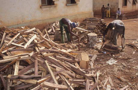 Fuelwood Daloa Town Ivory Coast Editorial Stock Photo - Stock Image ...