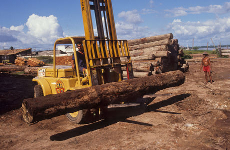 Logging Brazil Amazon Vicinity Paragominas Mahogany Editorial Stock ...