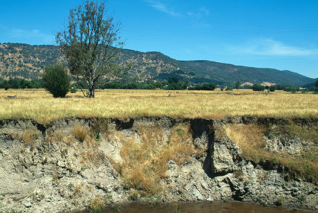 Erosion Australia Vicinity Melbourne Erosion One Editorial Stock Photo ...