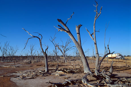 48 Salinization Stock Pictures, Editorial Images and Stock Photos ...