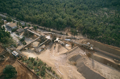 Reforestation Australia Western Australia Darling Range Editorial Stock ...