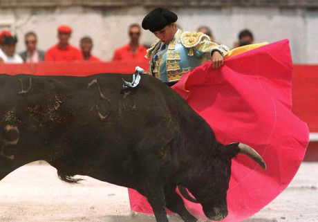 Cristina Sanchez Male Matadors Editorial Stock Photo - Stock Image ...