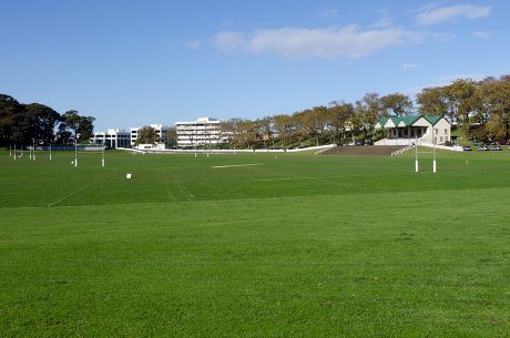 Rugby Field Auckland Domain Auckland New Editorial Stock Photo - Stock ...