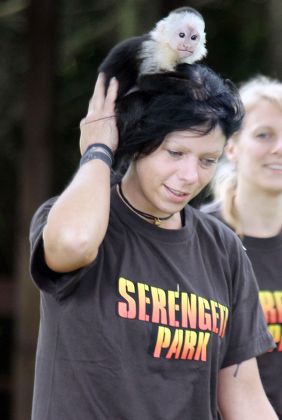 __COUNT__ imágenes de Justin Bieber's Monkey Mally at Serengeti ...
