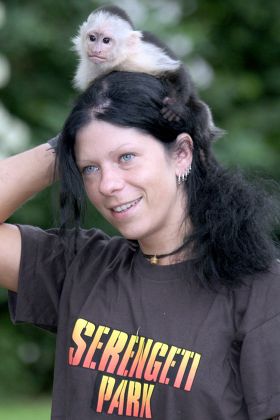 38 Mally the monkey Stock Pictures, Editorial Images and Stock Photos ...