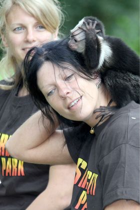 38 Mally the monkey Stock Pictures, Editorial Images and Stock Photos ...