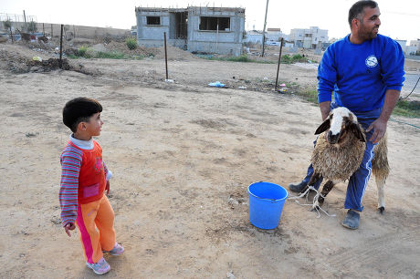 Muslims Prepare Slaughter Lamb On Eid Editorial Stock Photo - Stock ...