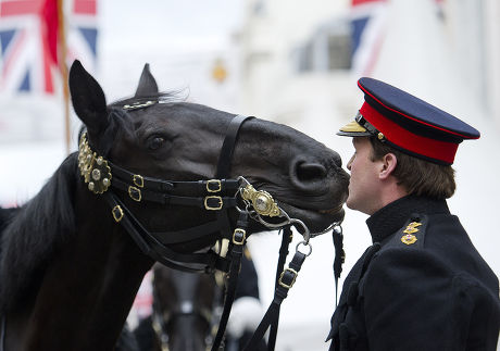 Captain George Ashby Kissing His Horse Editorial Stock Photo - Stock ...