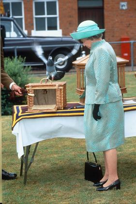 Queen Elizabeth Ii Watching Pigeon Be Editorial Stock Photo - Stock ...
