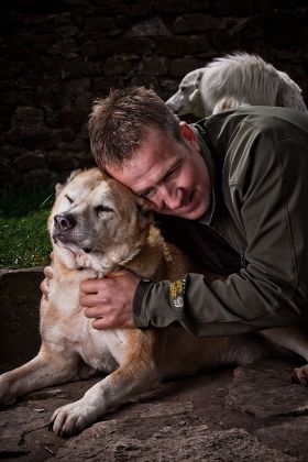 Pen Farthing Former Afghan Fighting Dog Editorial Stock Photo - Stock ...