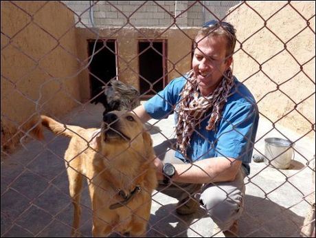 Pen Farthing Nowzad Animal Shelter Afghanistan Editorial Stock Photo ...