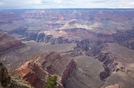 Grand Canyon National Park Tusayan Arizona Editorial Stock Photo ...