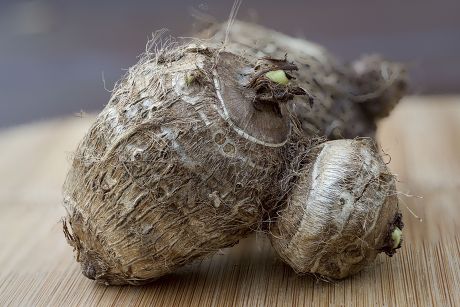 Taro Eddoe Corm Colocasia Esculenta Root Editorial Stock Photo - Stock ...
