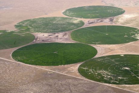Circular Fields Fodder Crops Watered By Editorial Stock Photo - Stock ...