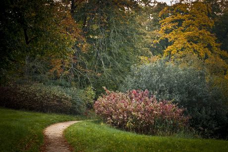 Narrow Path Editorial Stock Photo - Stock Image | Shutterstock