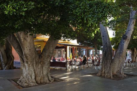 Laurel Trees Bar Editorial Stock Photo - Stock Image | Shutterstock