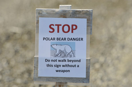 Polar Bear Warning Sign Polar Bear Editorial Stock Photo - Stock Image ...