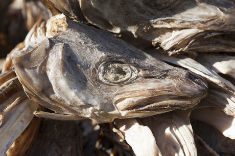 Dried Cod Head Editorial Stock Photo - Stock Image | Shutterstock