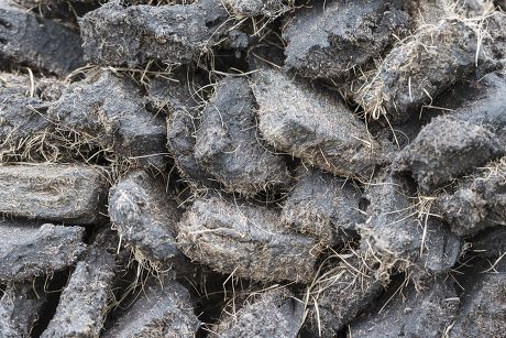 60 Peat material Stock Pictures, Editorial Images and Stock Photos ...