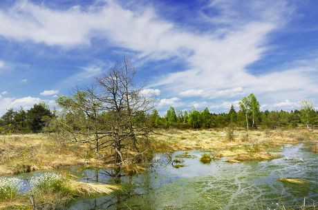 70 Siltation Stock Pictures, Editorial Images and Stock Photos ...