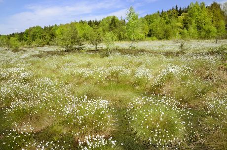 70 Siltation Stock Pictures, Editorial Images and Stock Photos ...