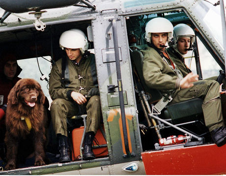 Helicopter Rescue Dogs Editorial Stock Photo - Stock Image | Shutterstock