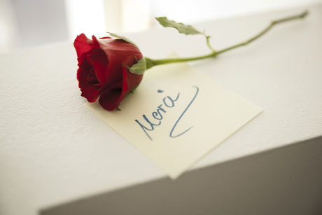 80 Politeness Stock Pictures, Editorial Images and Stock Photos ...