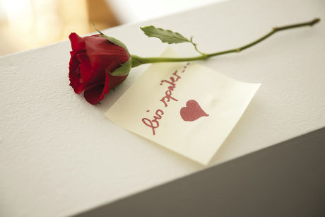 80 Politeness Stock Pictures, Editorial Images and Stock Photos ...