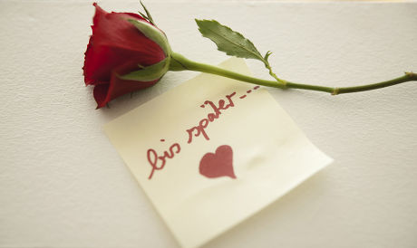 80 Politeness Stock Pictures, Editorial Images and Stock Photos ...