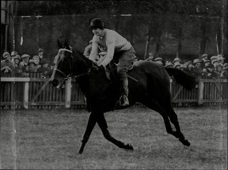 Jockey Mrs John Rogerson Nee Eileen Editorial Stock Photo - Stock Image ...