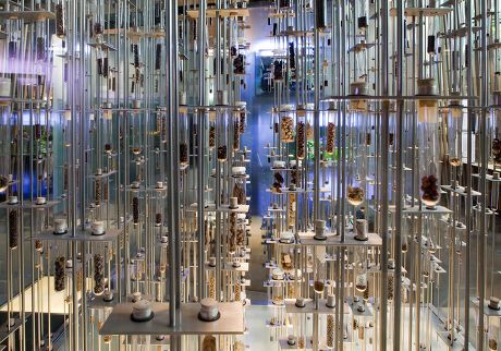 250 Cosmocaixa Stock Pictures, Editorial Images and Stock Photos ...