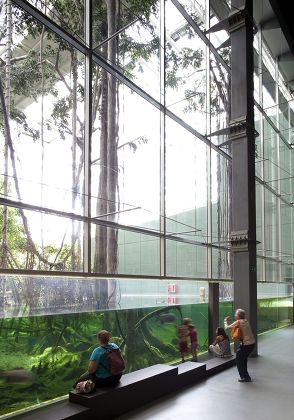 250 Cosmocaixa Stock Pictures, Editorial Images and Stock Photos ...