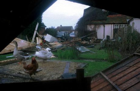 __COUNT__ THE AFTERMATH OF SELSEY BILL SUSSEX TORNADO PORTSMOUTH ...